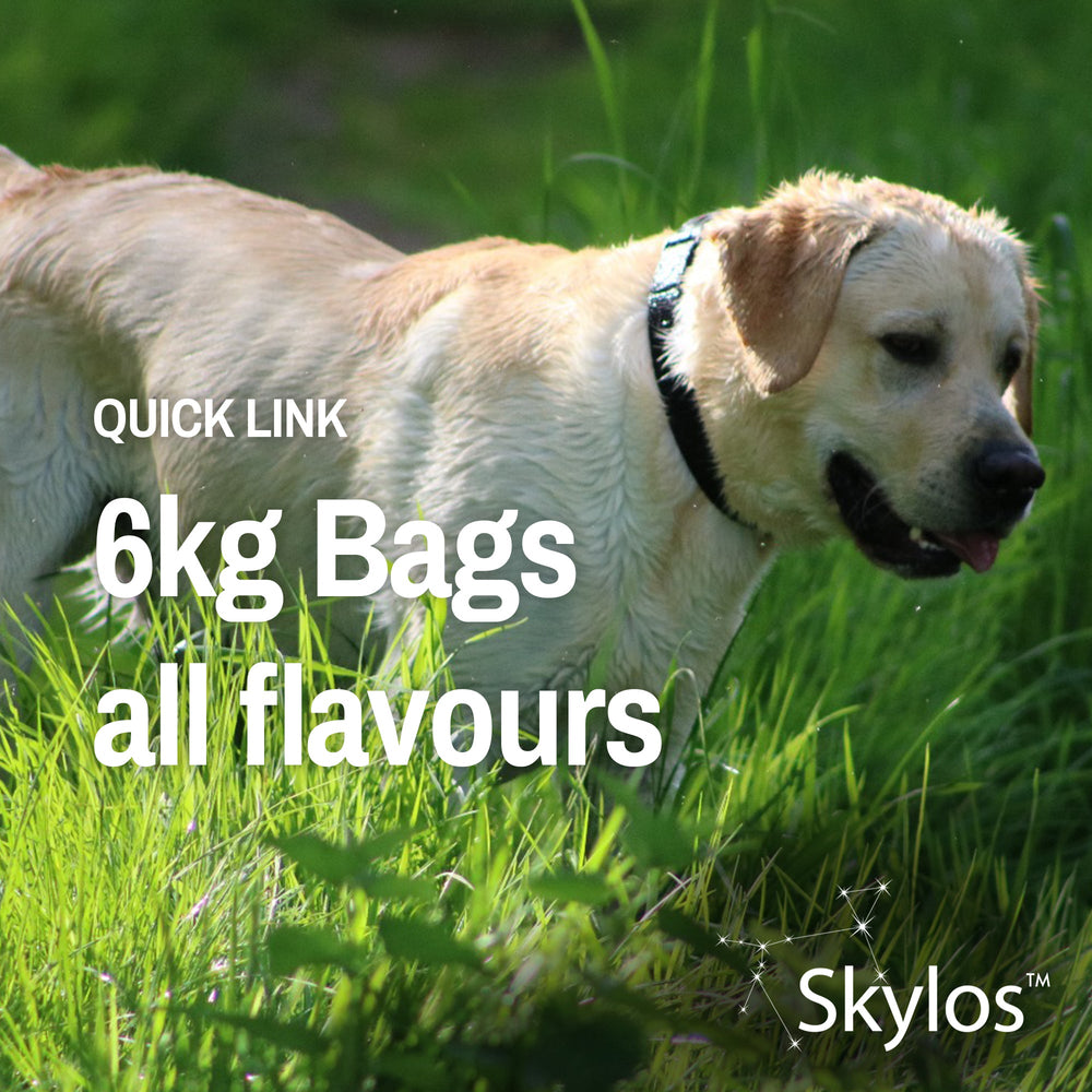 Skylos Trade